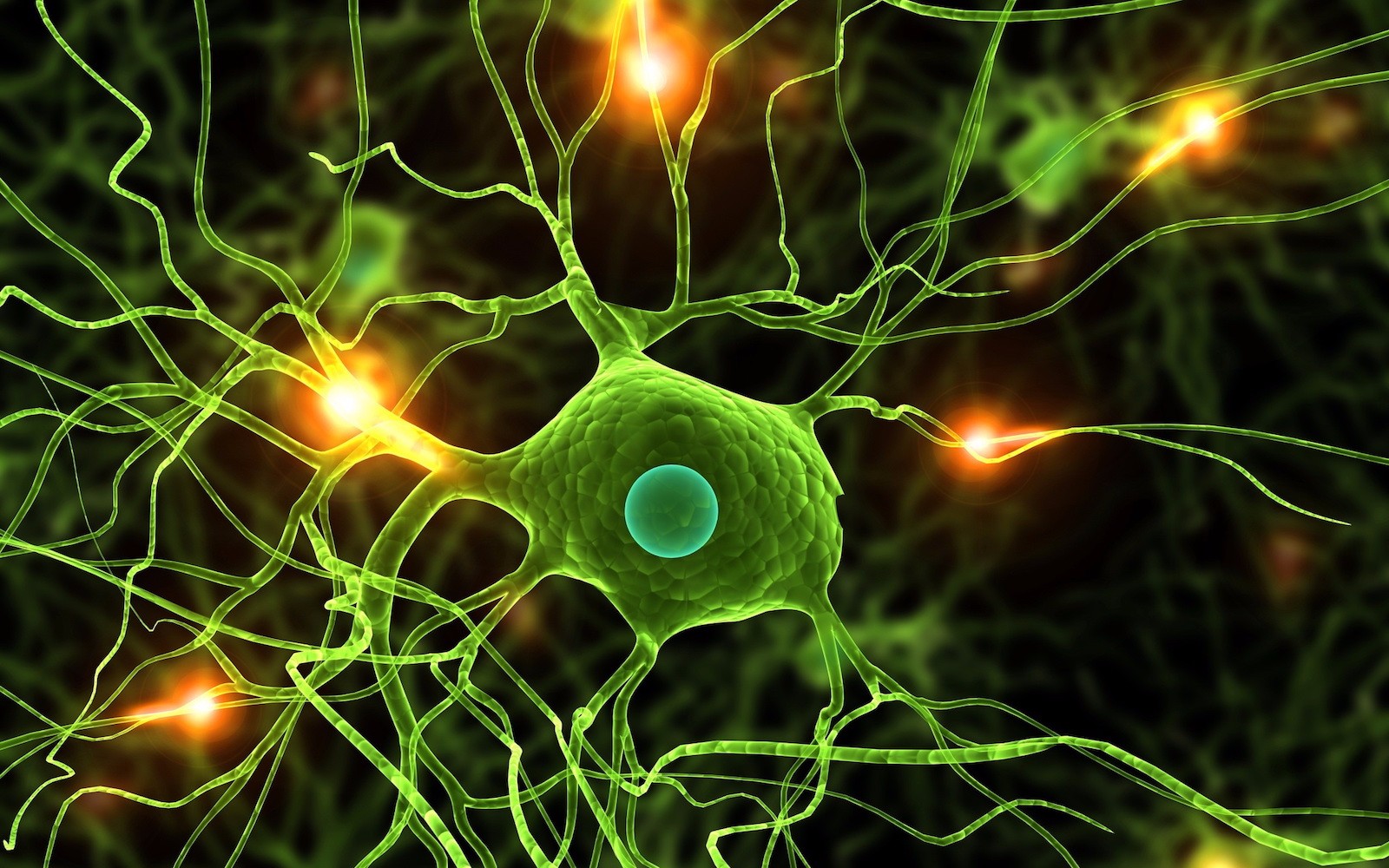 Data Science: Deep Learning in Python | StackSkills