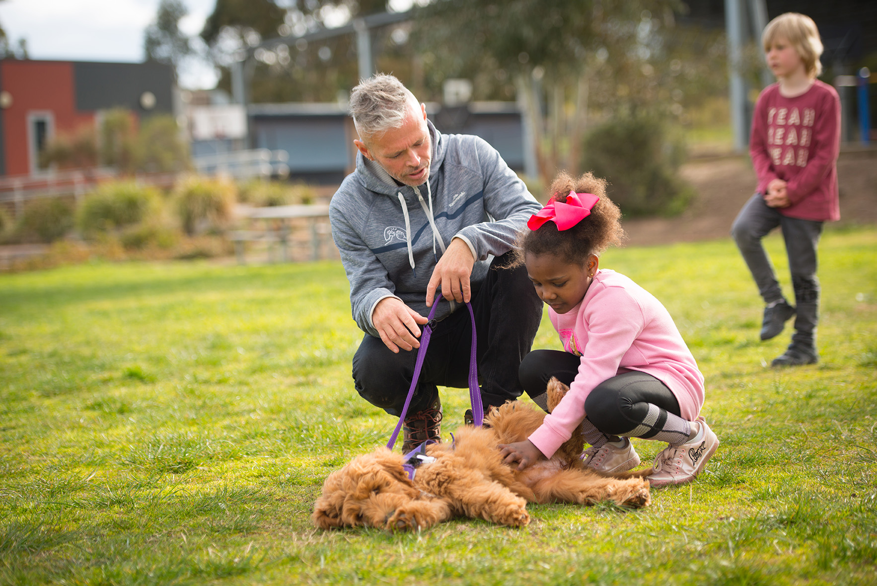 Dogs Connect Mentorship