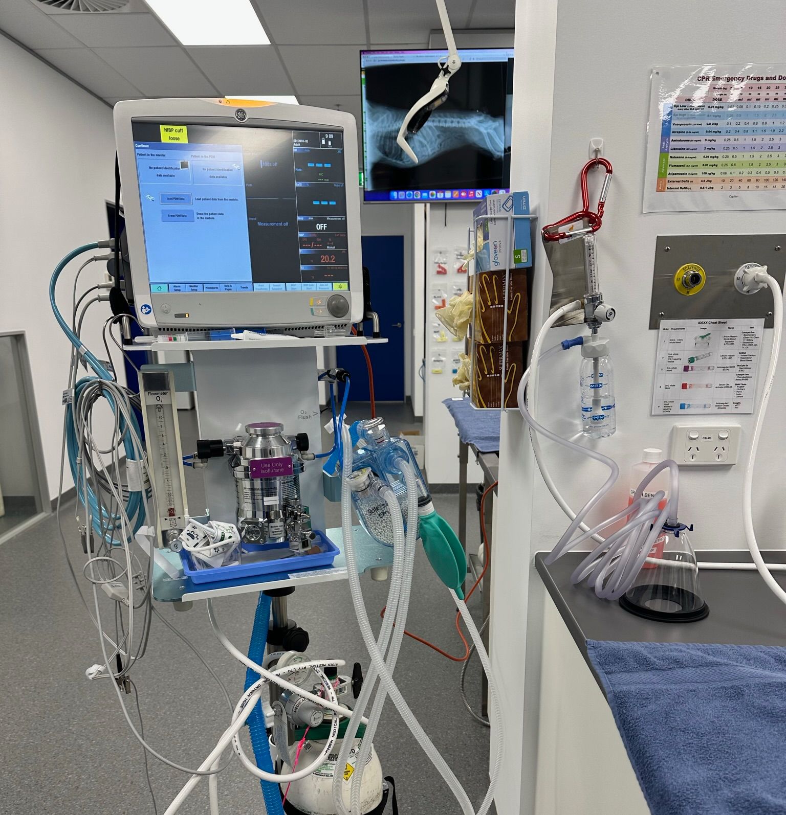 Anaesthesia Sample Lesson | The Vet Tribe