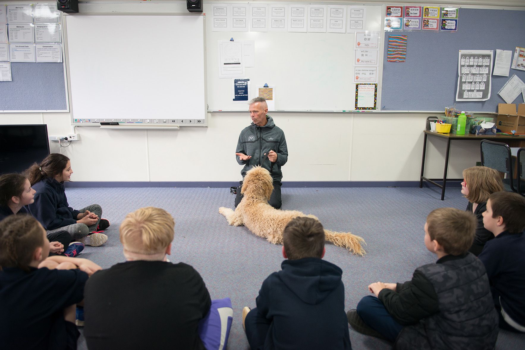 Dogs Connect Mentorship