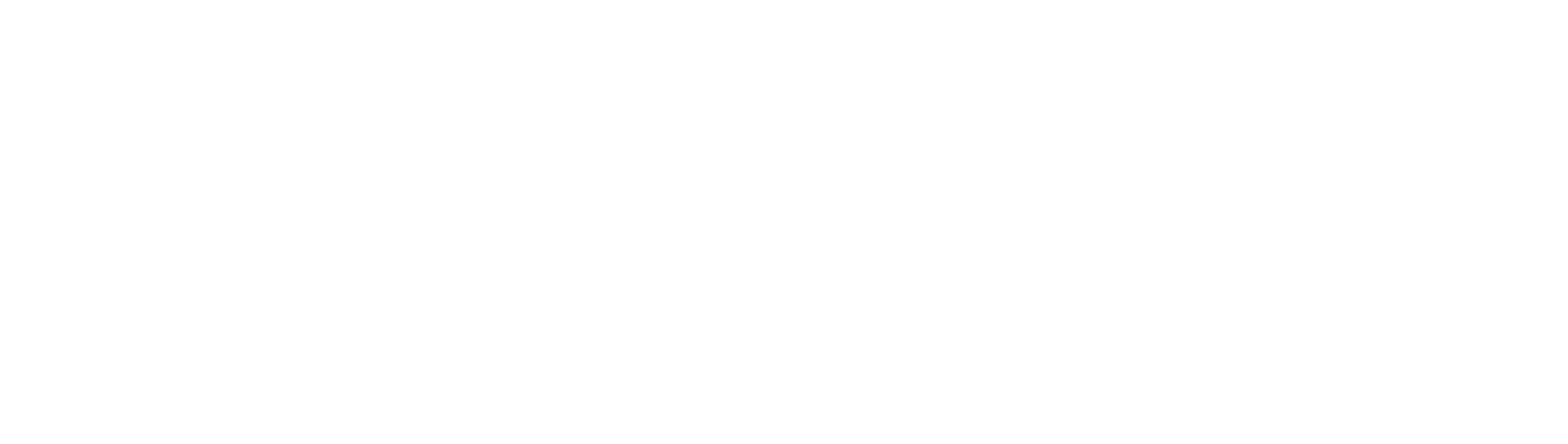 Clinicians' Course | Nerva