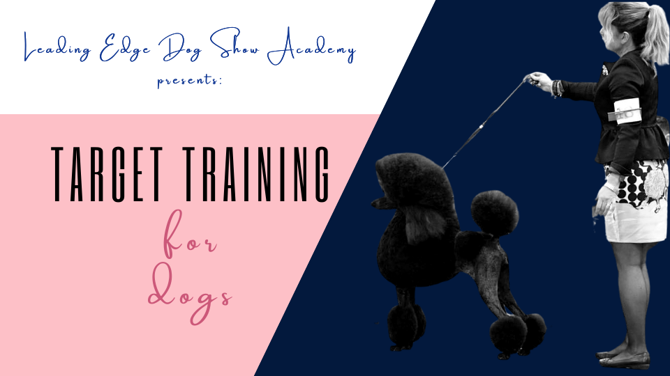 Introduction to Target training | Leading Edge Dog Show Academy