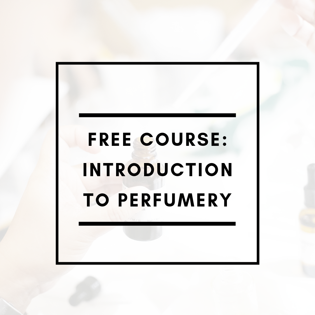 FREE: Introduction to Perfumery (Basic Fragrance Knowledge + Perfume