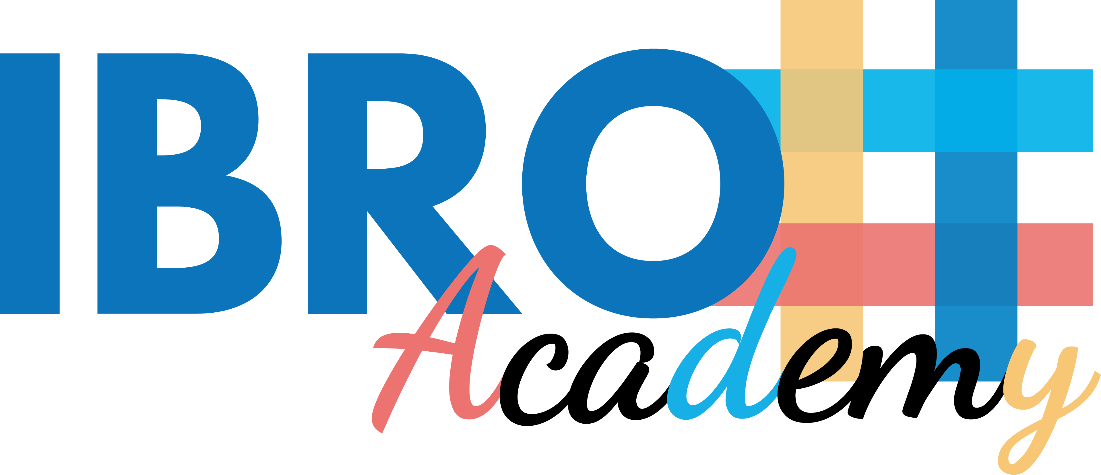Ibroacademy | IBRO Academy
